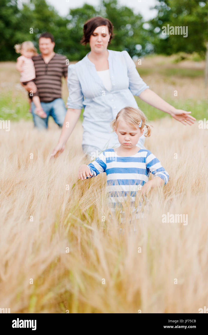 Family leisure corn field hi-res stock photography and images - Alamy