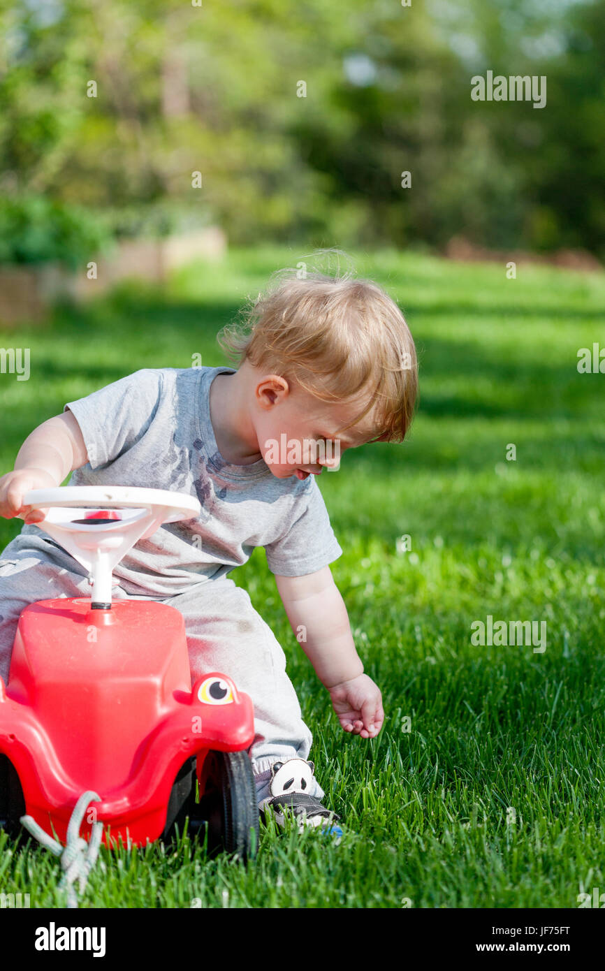 Boy touching grass in garden Stock Photo - Alamy