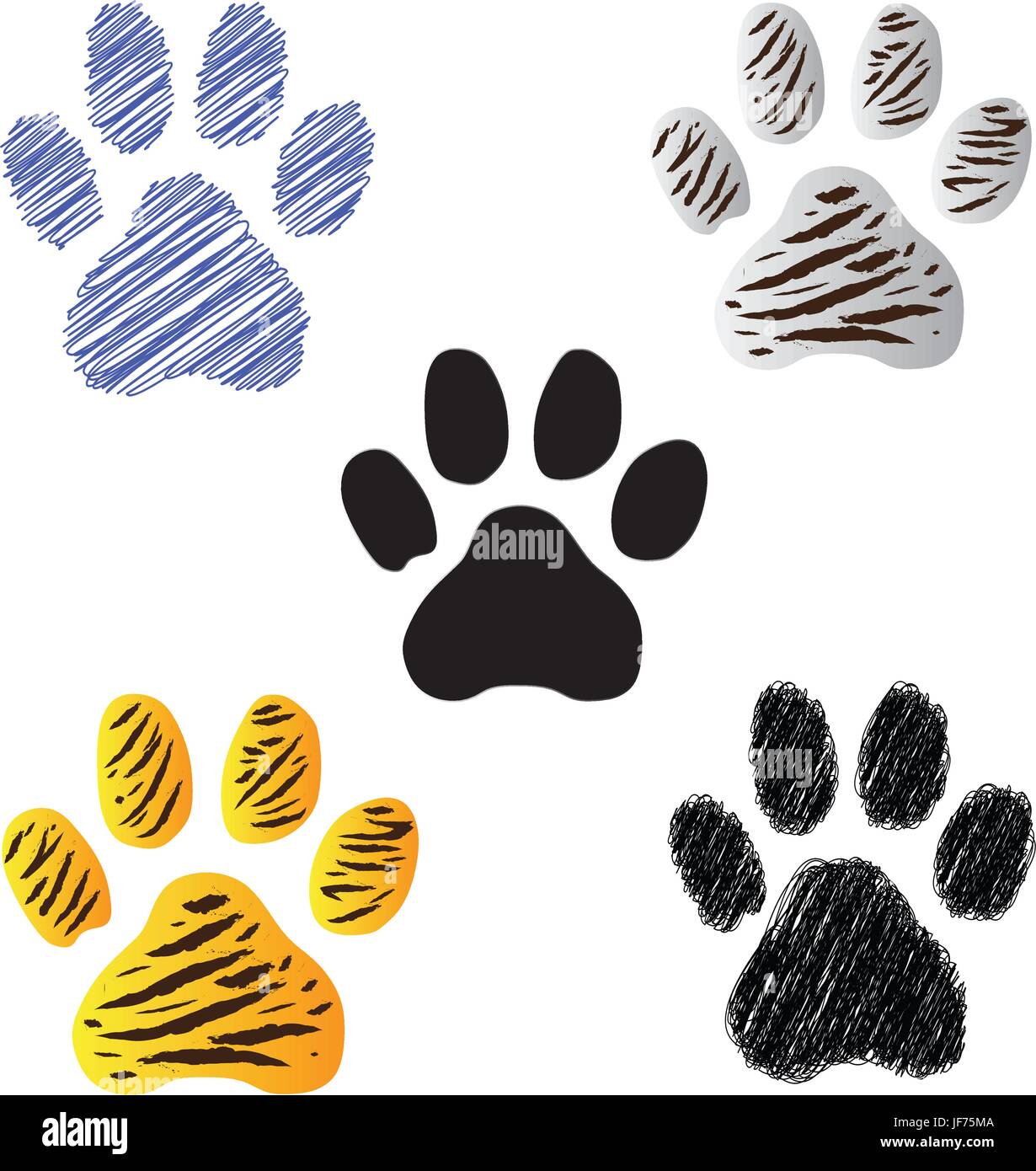 tiger footprint collection Stock Vector Image & Art - Alamy