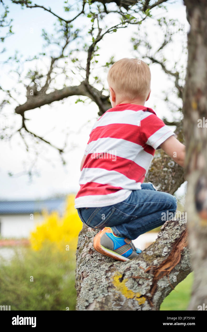 Boy climbing tree hi-res stock photography and images - Alamy
