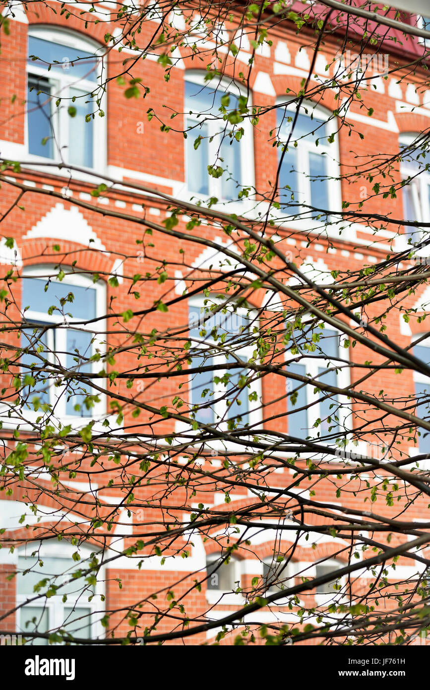 Spring tree in front of brick building Stock Photo - Alamy