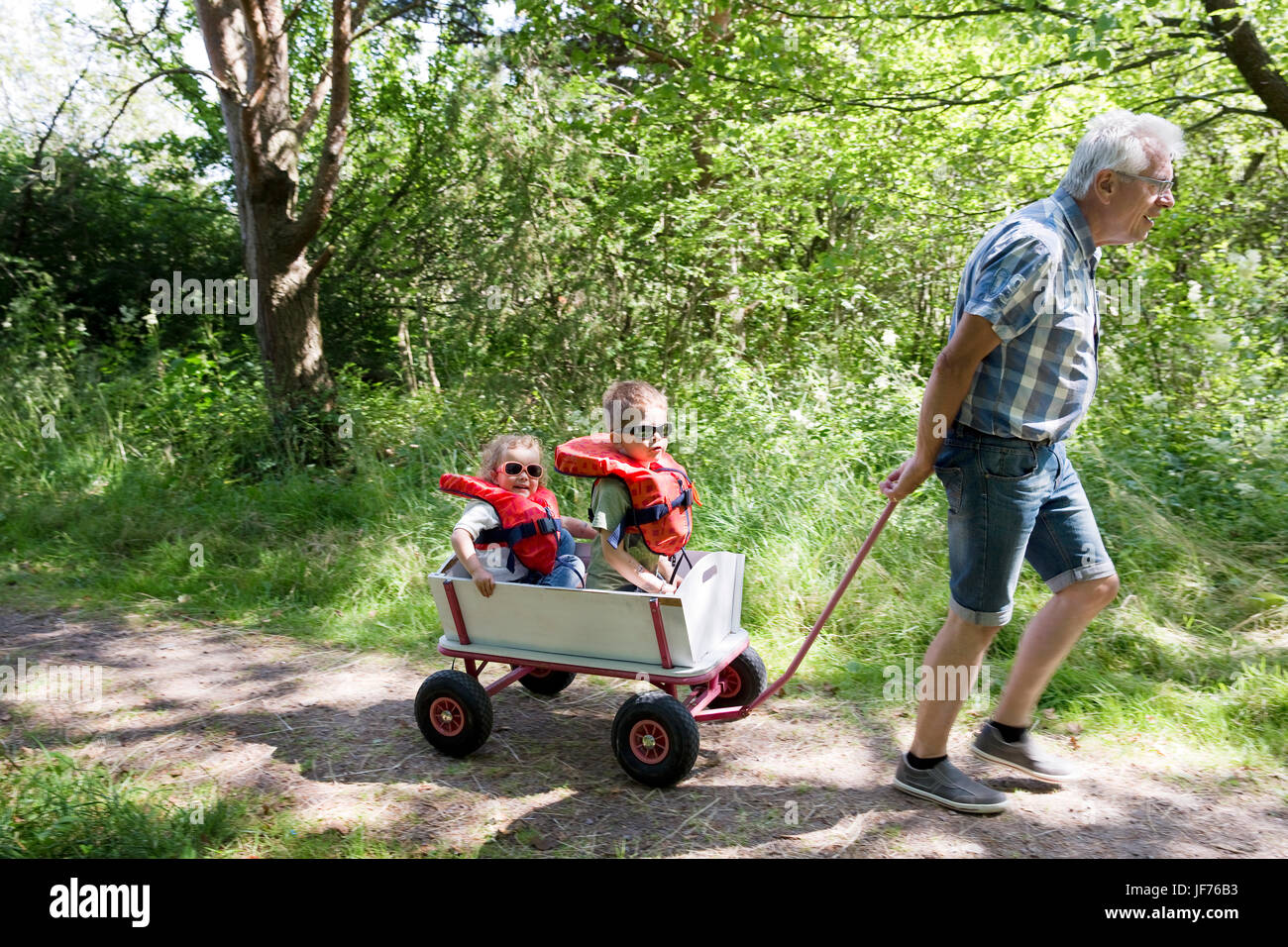 Grandfather pulling children in cart Stock Photo - Alamy