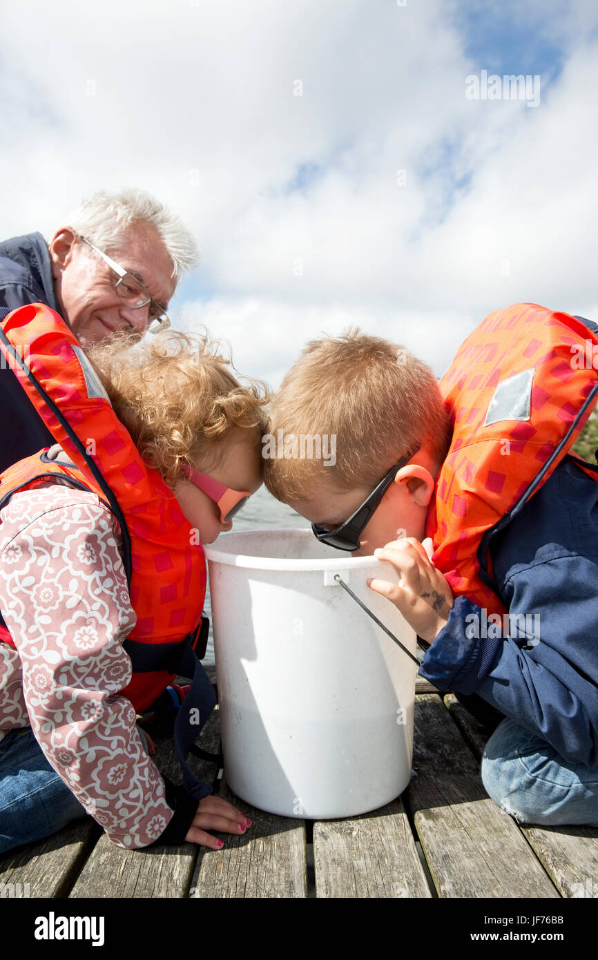 Children looking into bucket, grandfather in background Stock Photo - Alamy