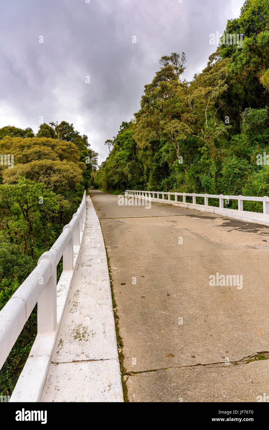 Road crossing the rainforest reserve area and environmental ...