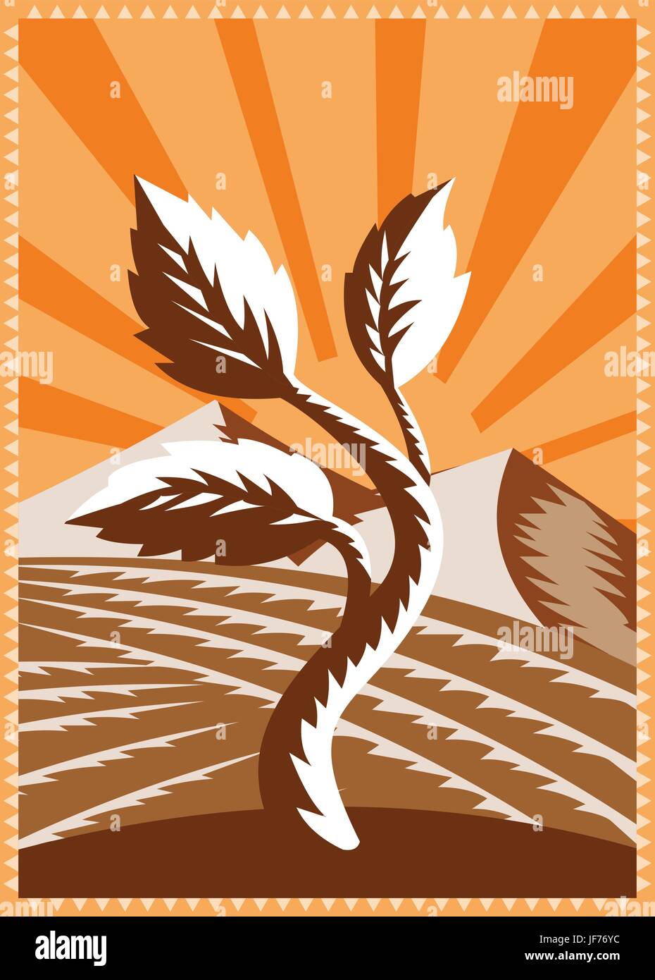 leaf, agriculture, farming, growth, plant, leaf, graphics, mountains ...