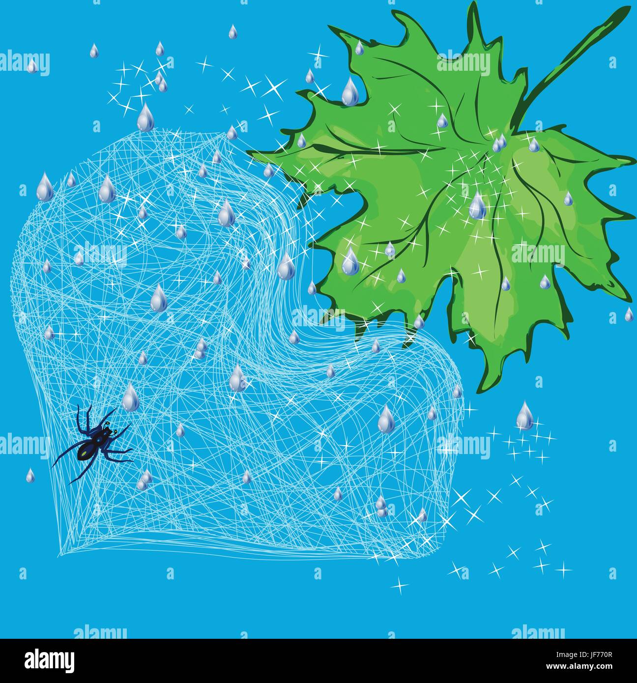 leaf, insect, raindrop, spider, net, illustration, outdoor, outdoors ...