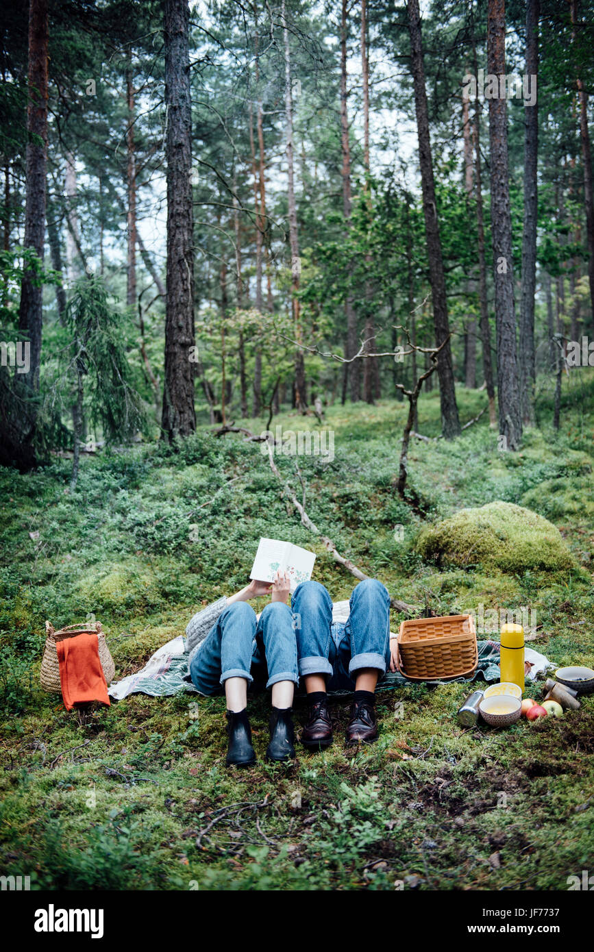 Picknick basket hi-res stock photography and images - Alamy