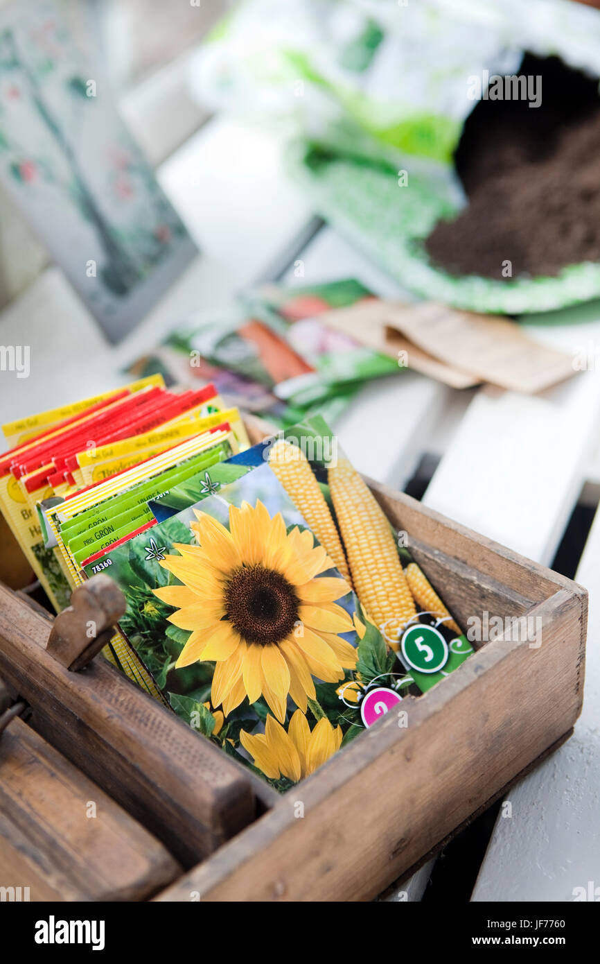 Packets of seeds in wooden box Stock Photo - Alamy