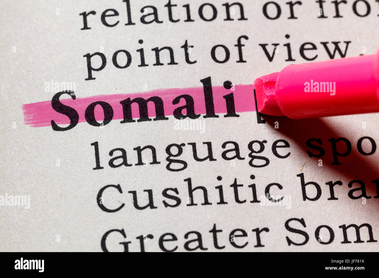 Fake Dictionary, Dictionary definition of the word Somali. including ...
