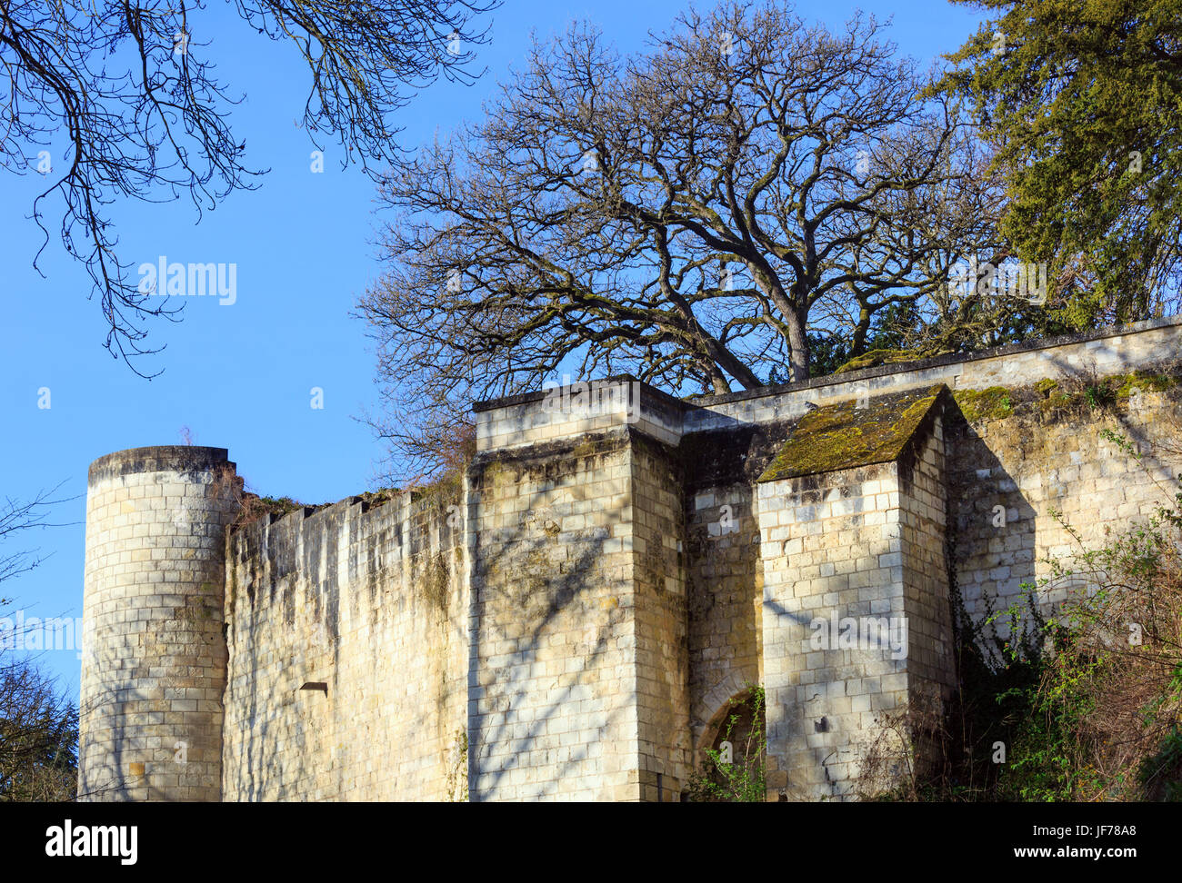 The Royal City of Loches (France Stock Photo - Alamy