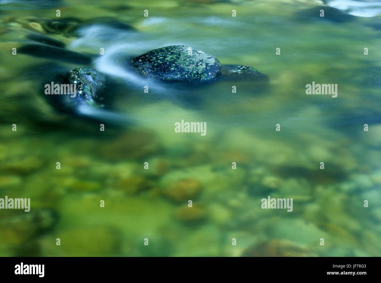 Warm Springs Creek, Lochsa Wild & Scenic River, Clearwater National ...