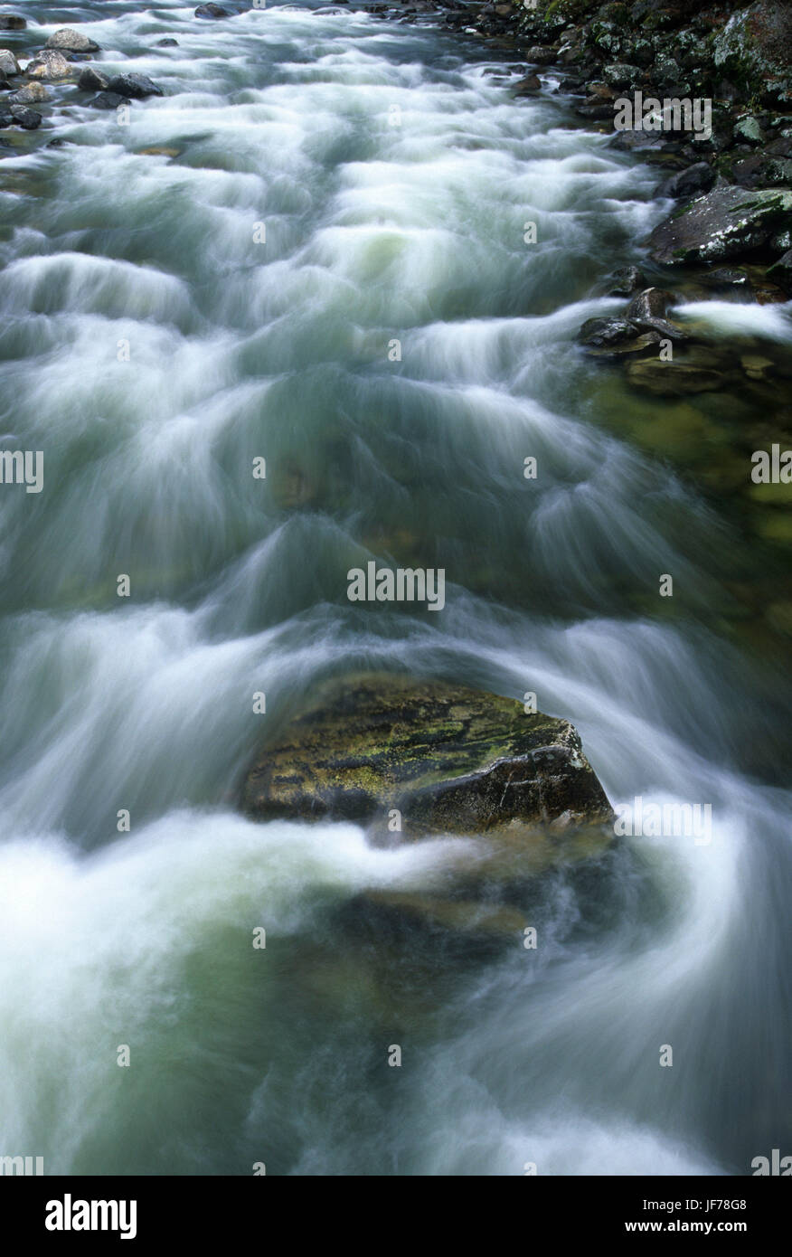 Lochsa Wild & Scenic River, Clearwater National Forest, Northwest ...