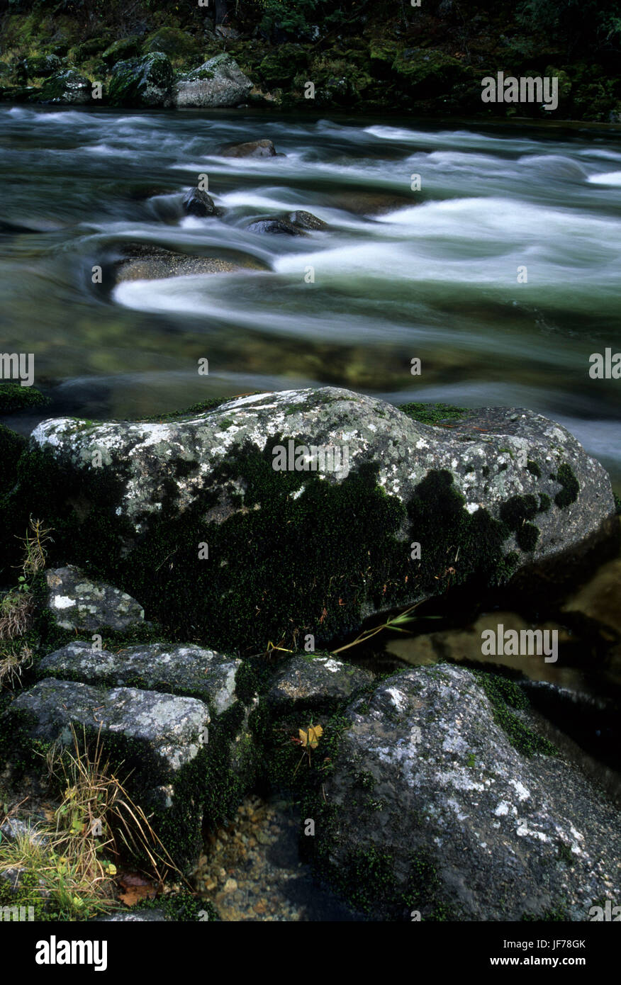 Lochsa Wild & Scenic River, Clearwater National Forest, Northwest ...