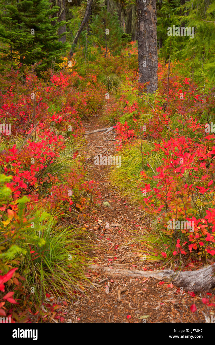 Monon lake trail hi-res stock photography and images - Alamy