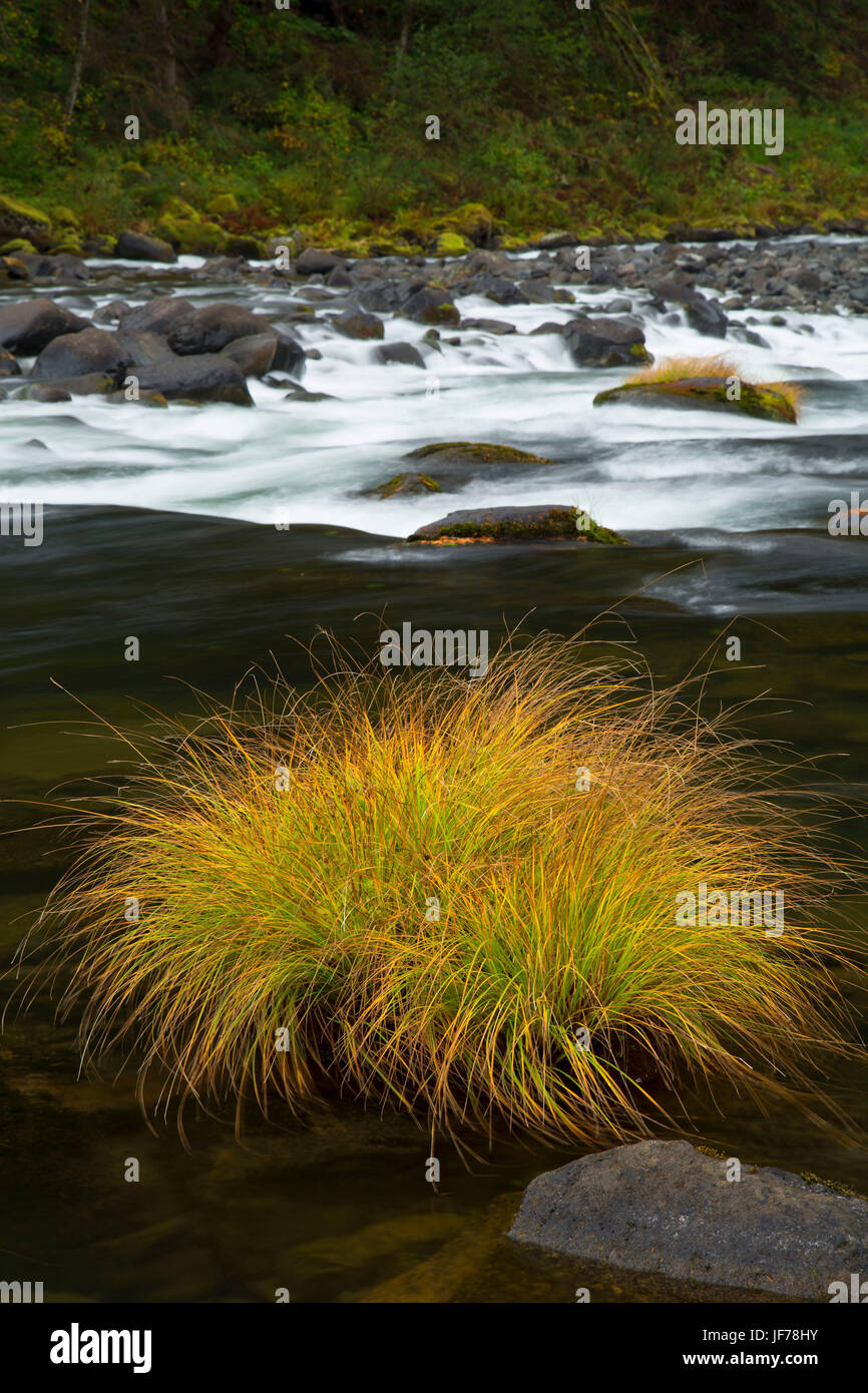 Clackamas wild and scenic river hi-res stock photography and images - Alamy
