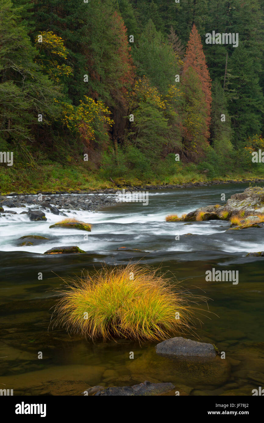 Clackamas river hi-res stock photography and images - Alamy