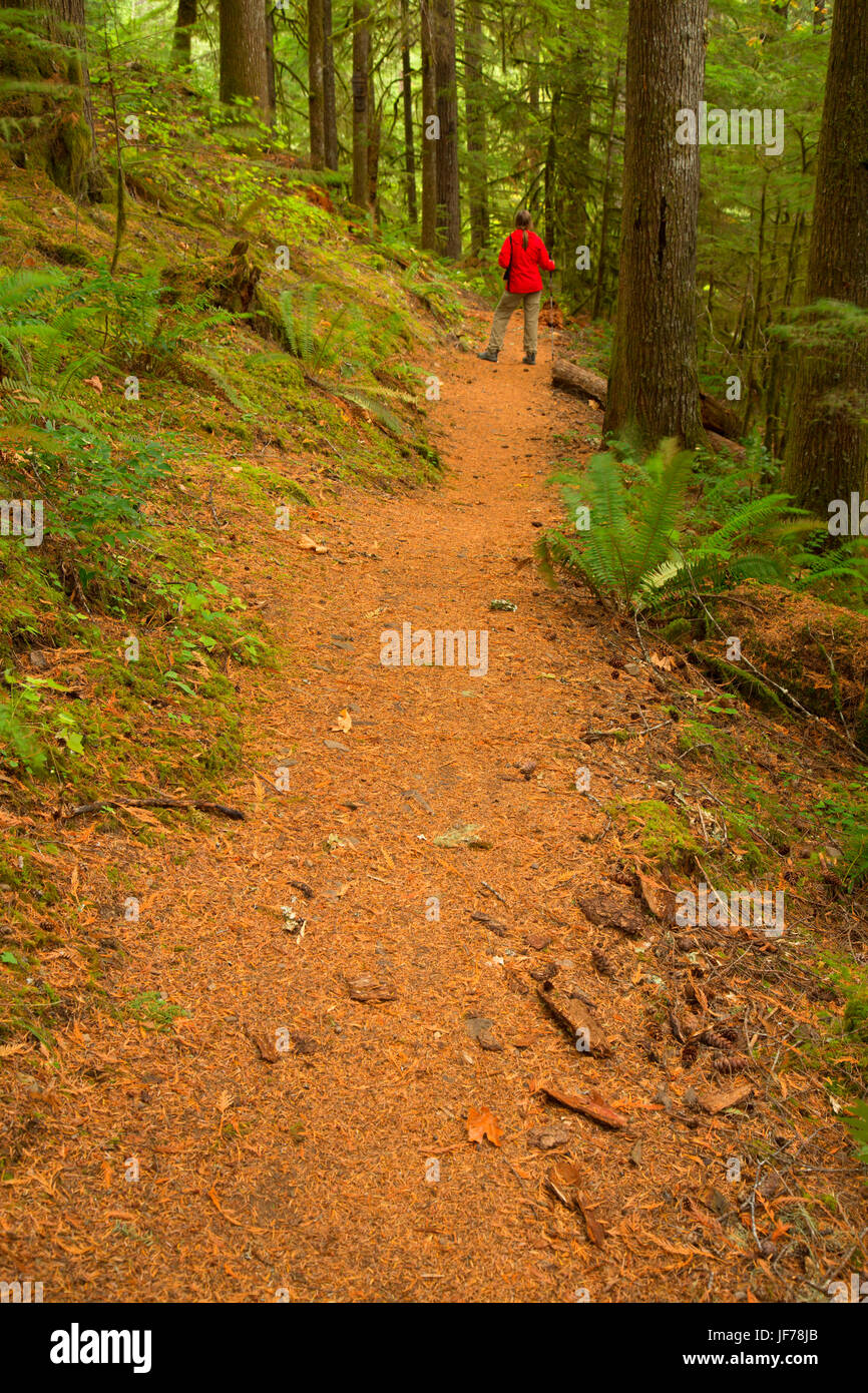 Clackamas River Trail, Clackamas Wild and Scenic River, West Cascades ...