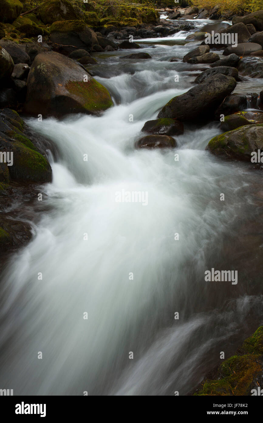 Roaring Wild and Scenic River, West Cascades Scenic Byway, Mt Hood ...