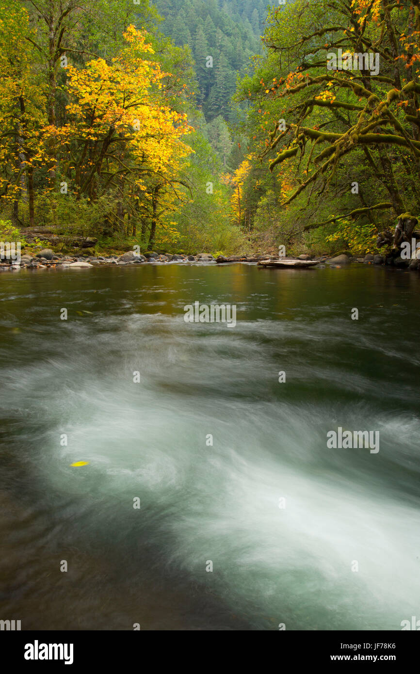 Roaring Wild and Scenic River, West Cascades Scenic Byway, Mt Hood ...