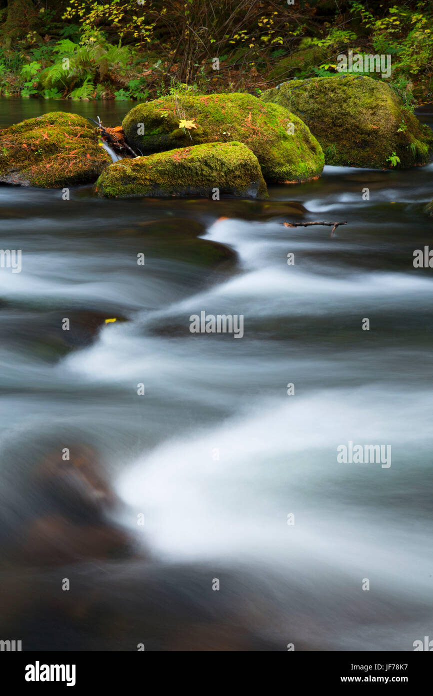 Ripplebrook campground hi-res stock photography and images - Alamy