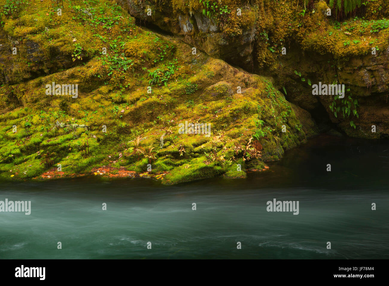 Clackamas Wild and Scenic River with moss outcrop, West Cascades Scenic ...