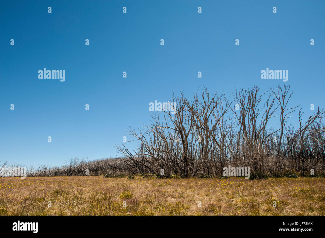Victorian high country, Australia Stock Photo - Alamy