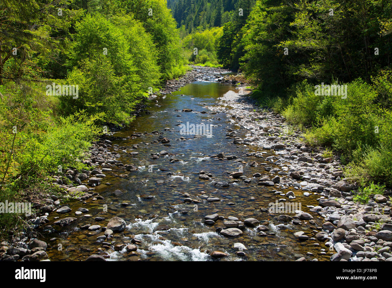 Molalla River, Molalla River Recreation Area, Salem District Bureau of ...