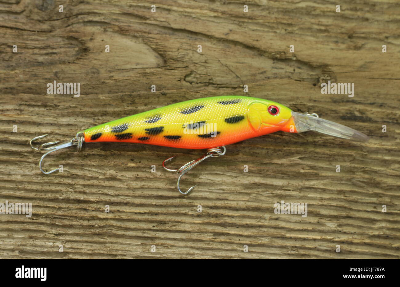 Spotted angler hi-res stock photography and images - Alamy