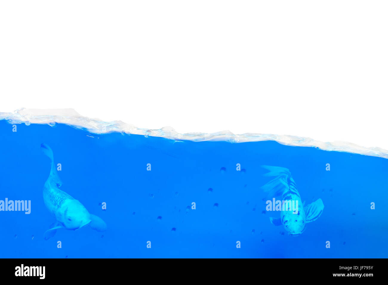 Two Koi Fish High Resolution Stock Photography and Images - Alamy