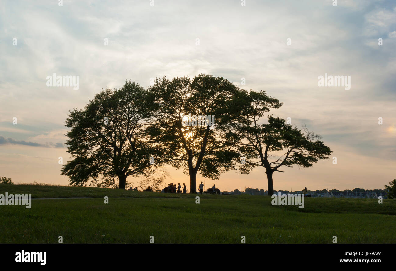 Gathering of friends enjoying a picnic under a grove of trees, at ...