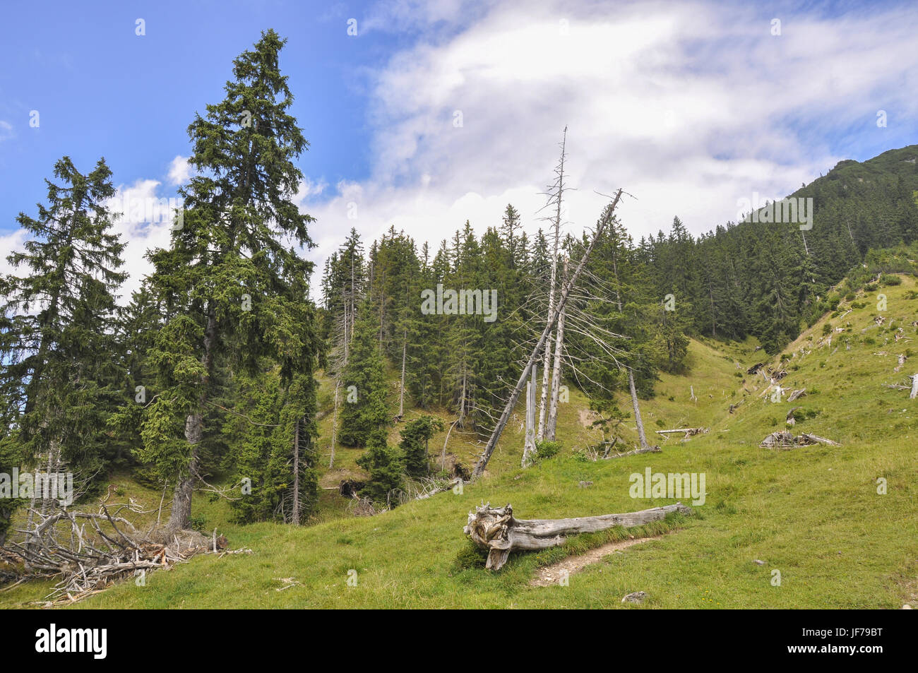 Europe allgaeu hi-res stock photography and images - Alamy