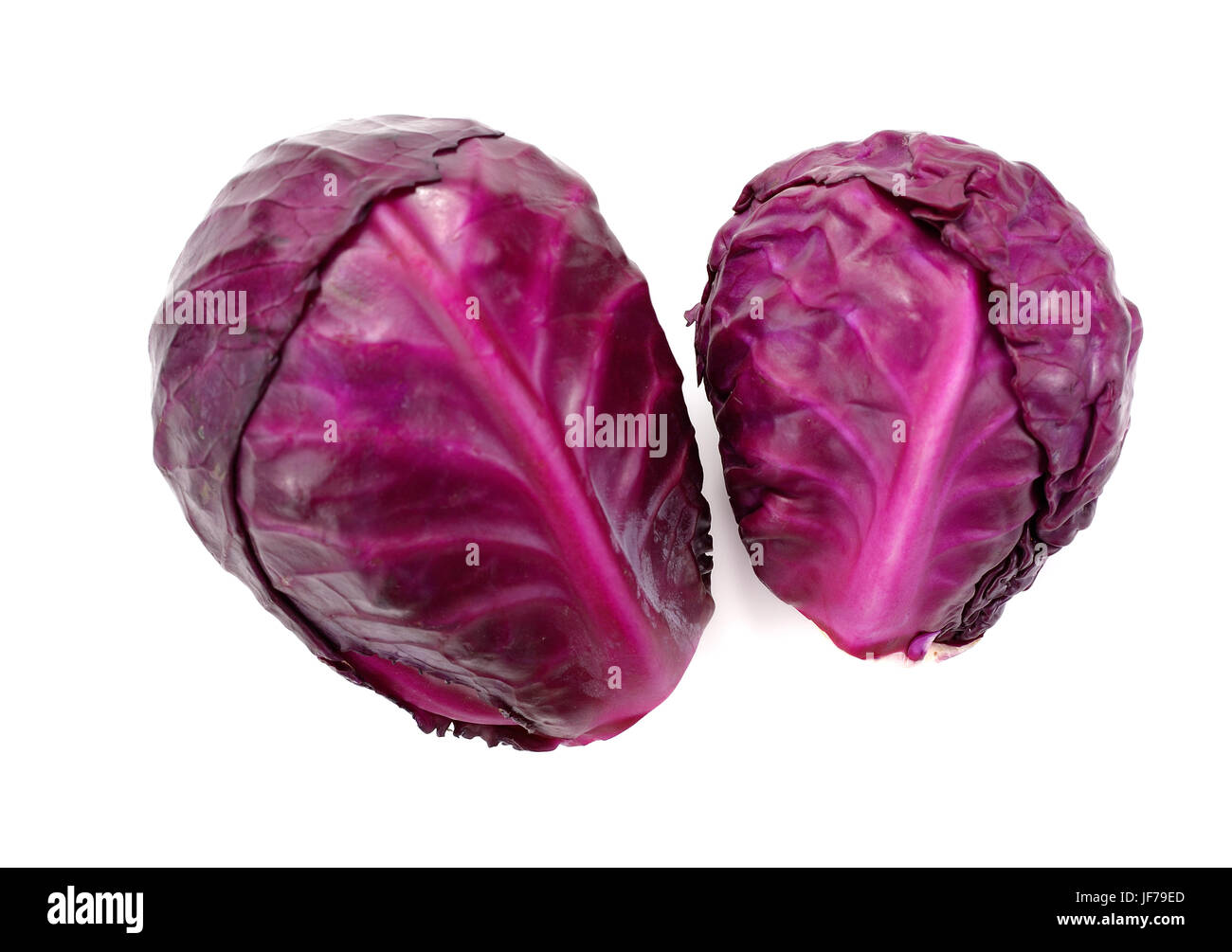 Fresh red cabbage vegetable on white background Stock Photo - Alamy