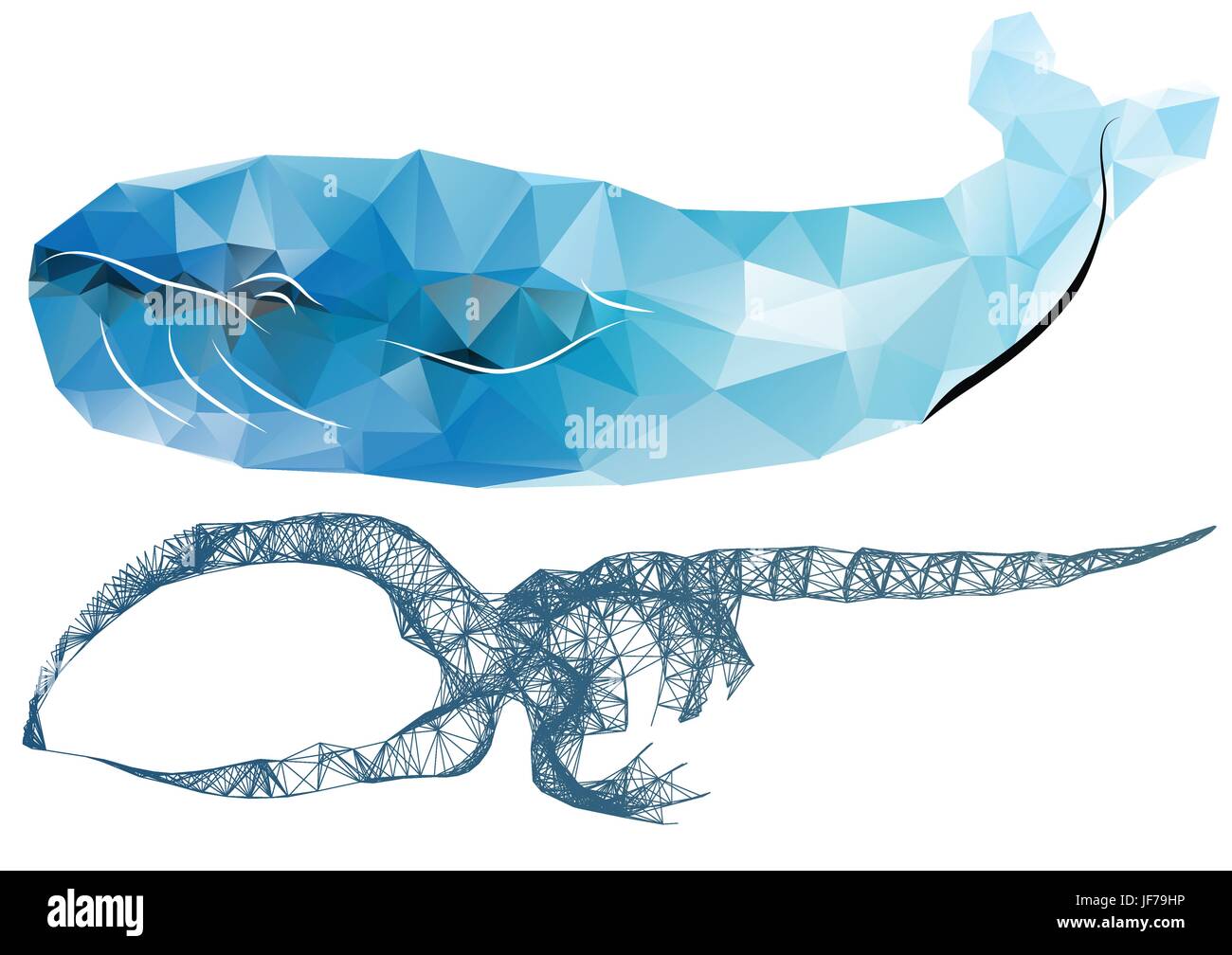 Whale skeleton illustration hi-res stock photography and images - Alamy