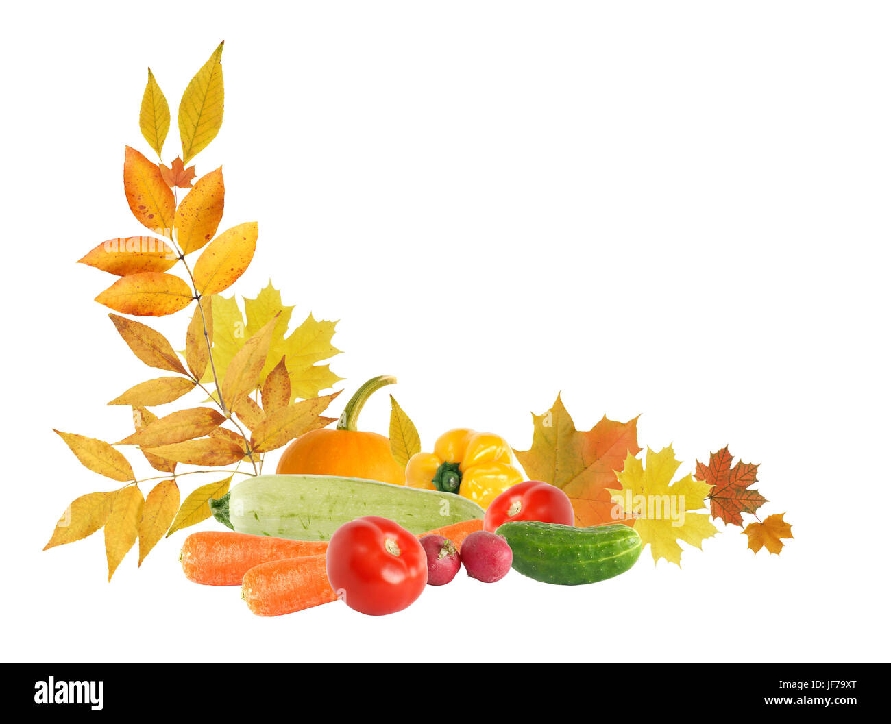 Fall Harvest Border Clipart - Uzugara