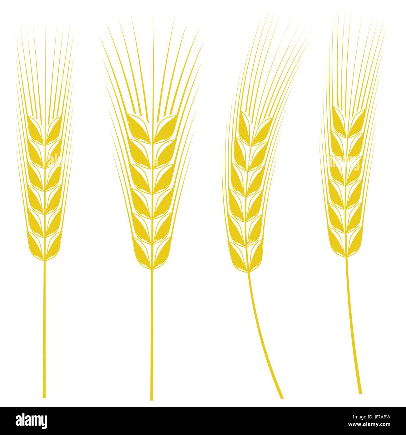 Yellow ears wheat on Stock Vector Images - Alamy