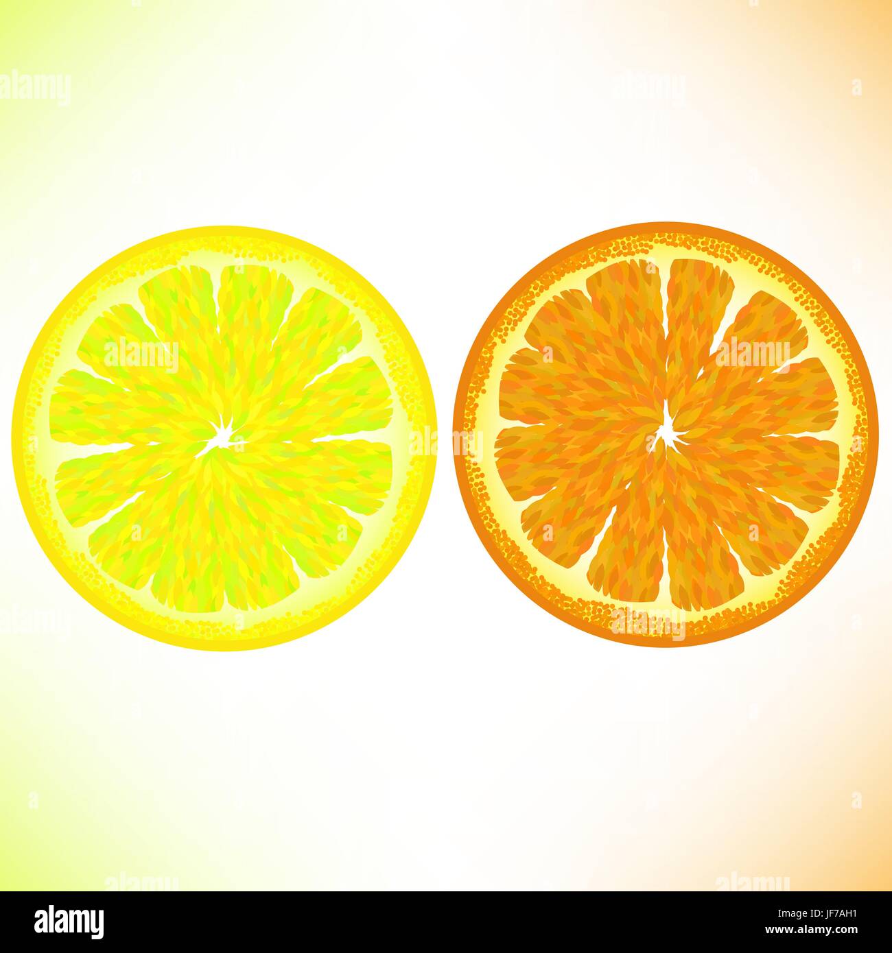 Lemon and Orange Isolated on White Background Stock Vector Image & Art ...