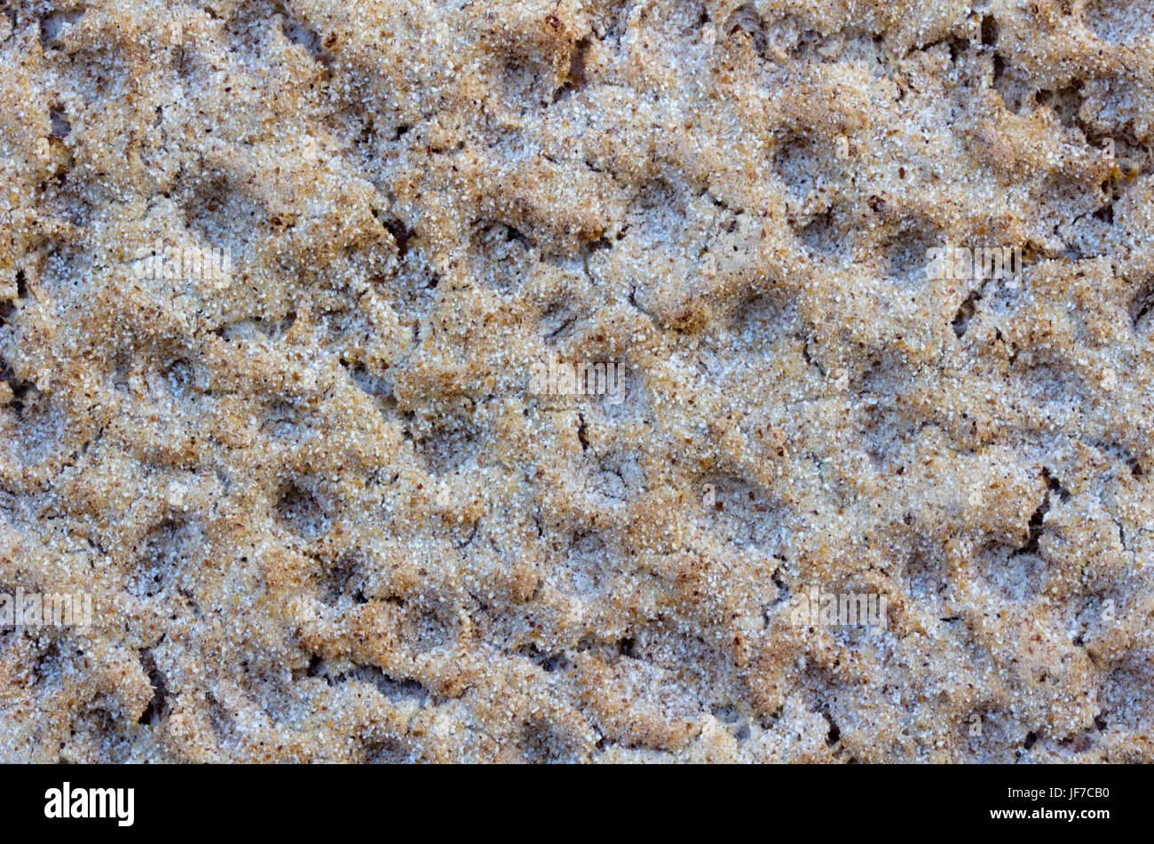 Close up image showing the texture of a cracker Stock Photo - Alamy