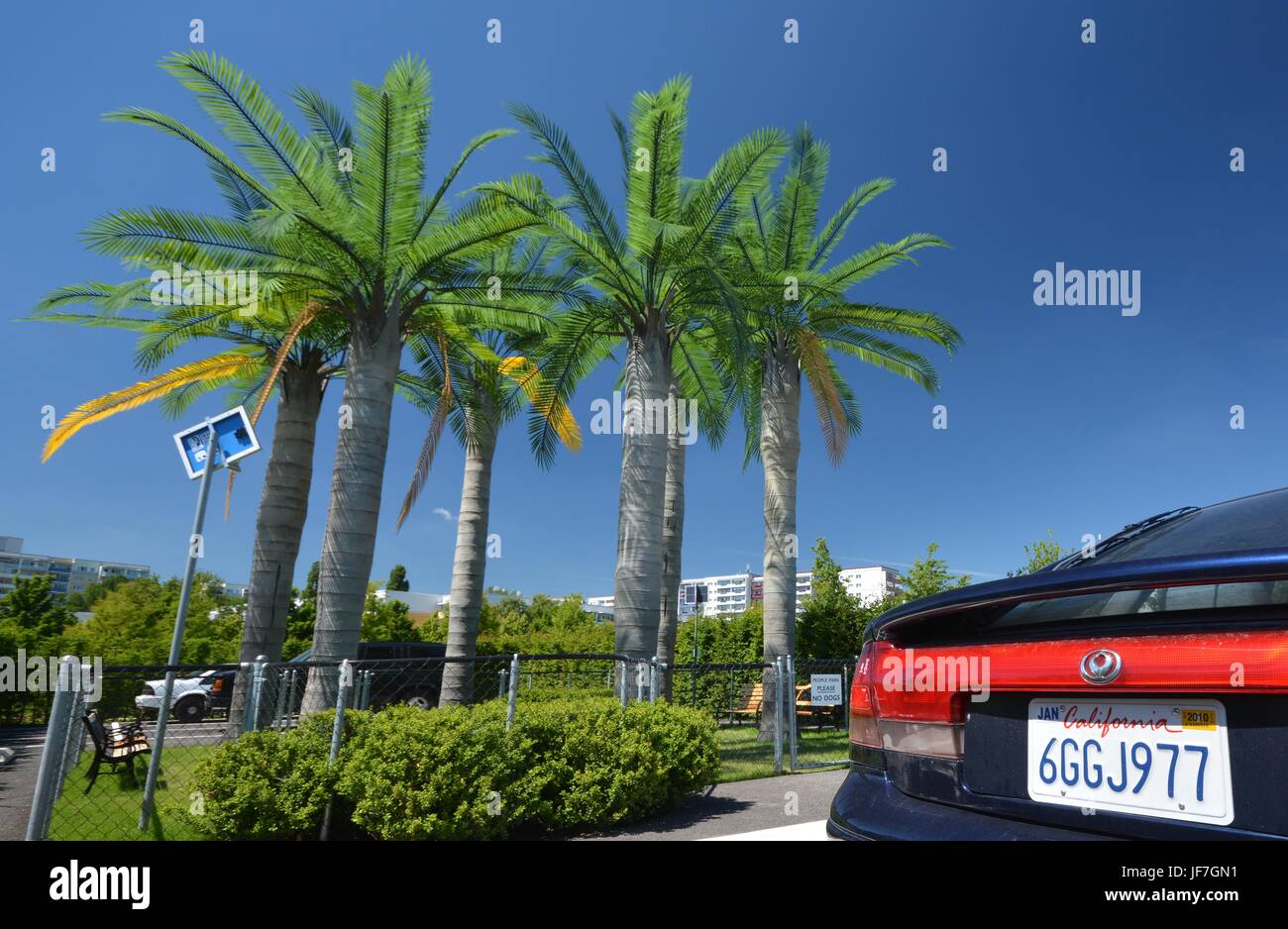 Impressions from the IGA Berlin 2017, International Garden Exhibition ...