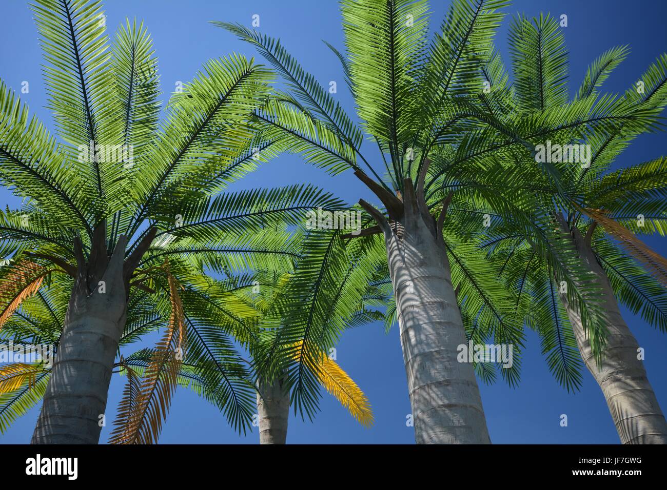 Impressions from the IGA Berlin 2017, International Garden Exhibition ...