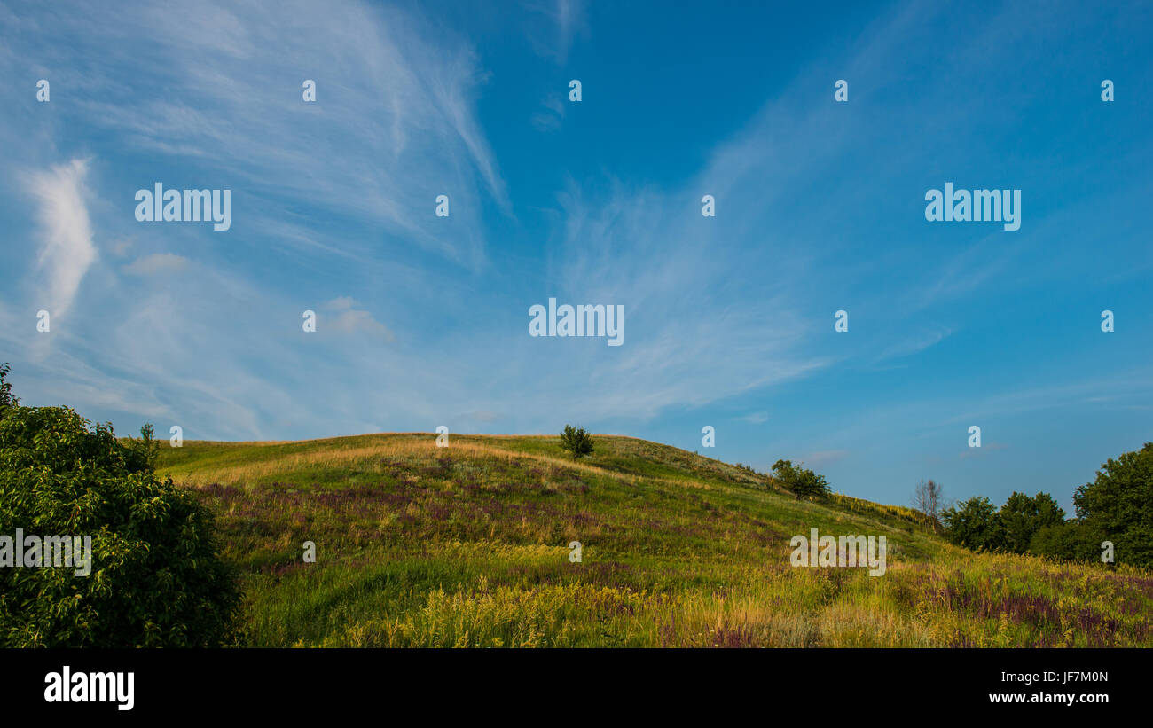 Single tree on a hillside in the countryside Stock Photo - Alamy