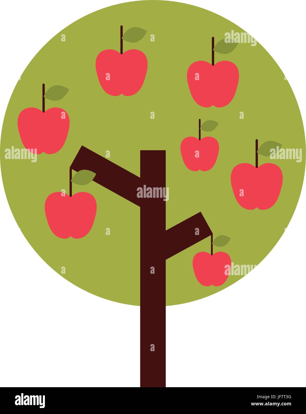 apple tree isolated icon Stock Vector Image & Art - Alamy