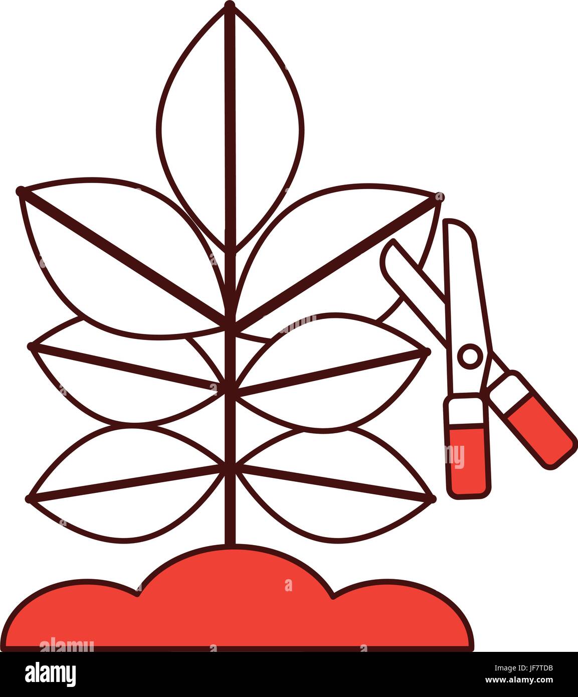 Cultivated plant with scissors Stock Vector Image & Art - Alamy