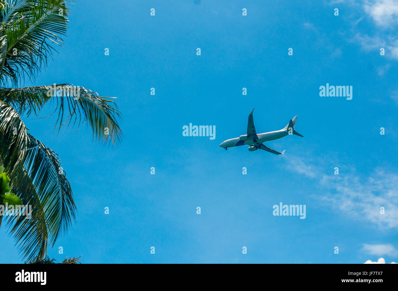 Aeroplane flying in blue sky with trees in foreground Stock Photo - Alamy