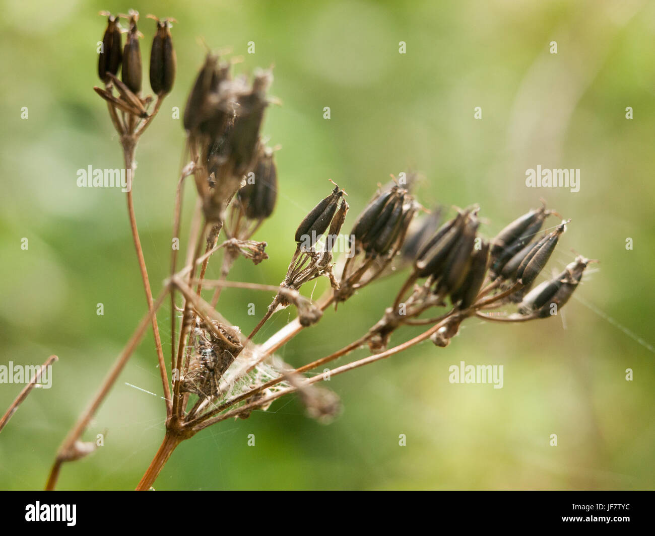 No dead ends hi-res stock photography and images - Alamy