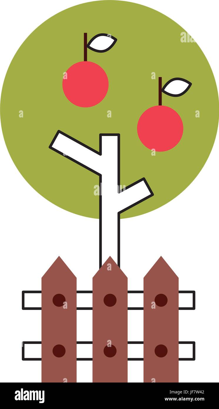 apple tree isolated icon Stock Vector Image & Art - Alamy