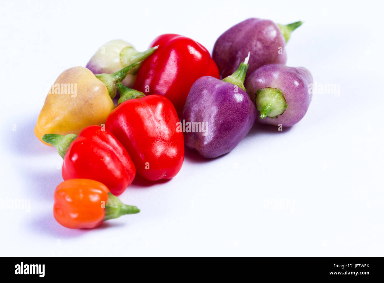 close up of a group of miniature peppers in a variety of colors ...