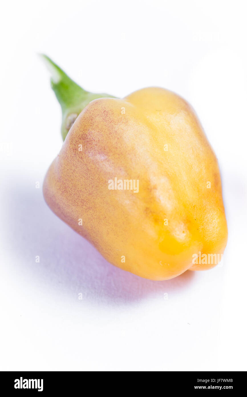 beautiful miniature pepper with a vivid yellow color isolated on a ...