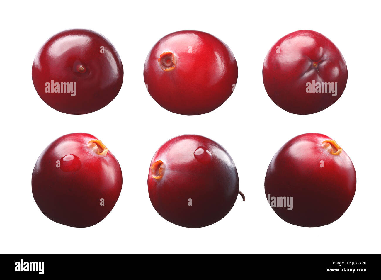 Cranberry, single berries, shadowless. Clipping path for each berry ...