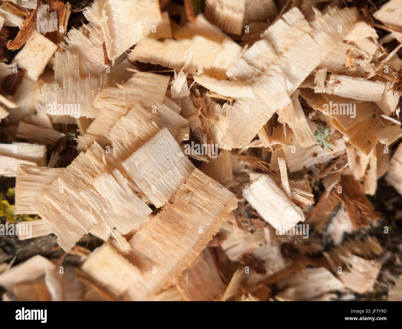 Hickory wood chips hi-res stock photography and images - Alamy