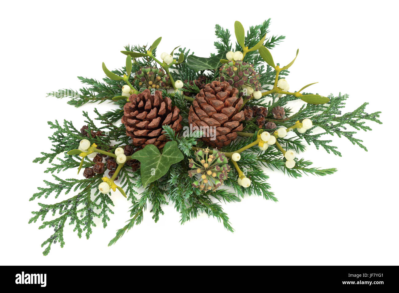 Pine cones on greenery Cut Out Stock Images & Pictures - Alamy